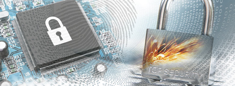 Tech Insight - Throughput Presentations | Sandton